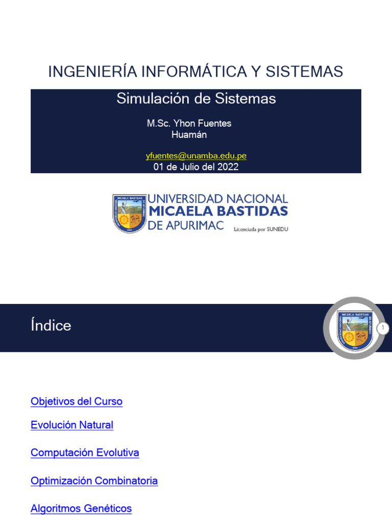SIMS 2022 UNAMBA 01 Algoritmos Geneticos | PDF