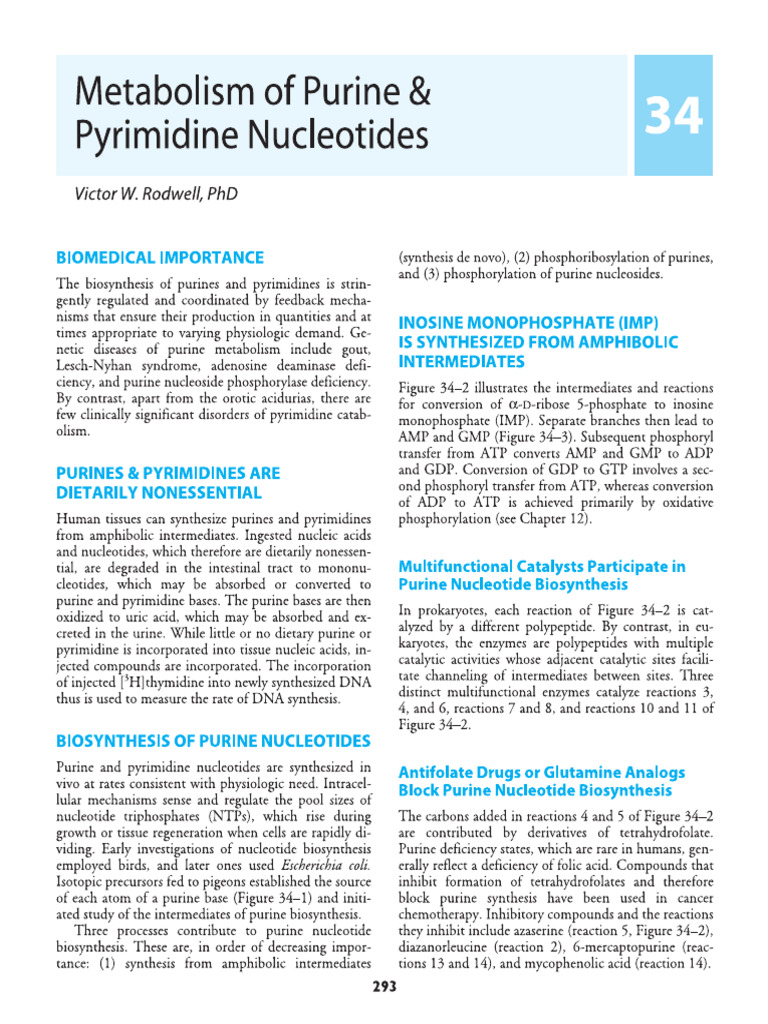 Metabolism of Purines and Pyramidines | PDF