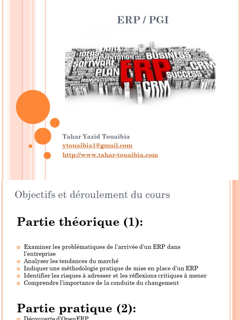 Erp Pgi | PDF