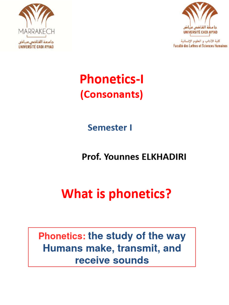 Phonetics I | PDF | Phonetics | Respiratory System
