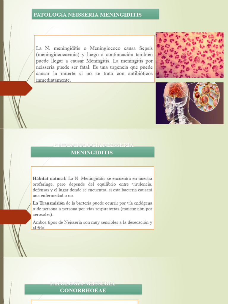 GRUPO 5 LAS PORINAS DE ESCHERICHIA COLI (1) | PDF | Causas de la muerte | Enfermedades y trastornos