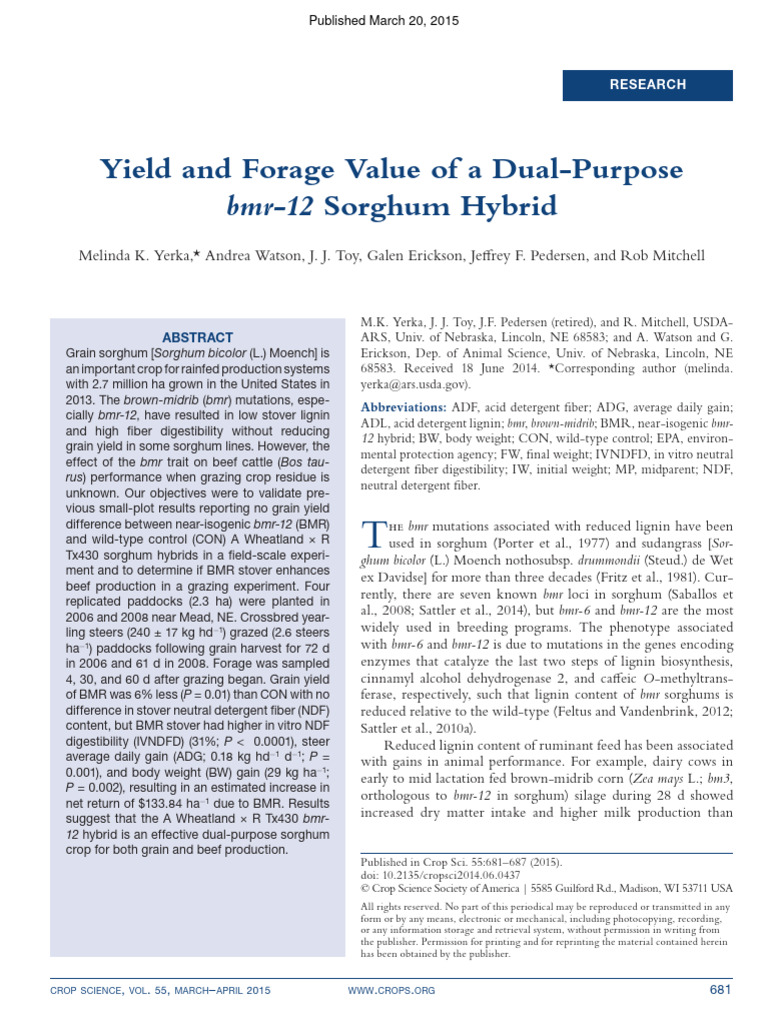 Eduardo & Taise - Novo - Yield and Forage Value of A Dual-Purpose Bmr ...