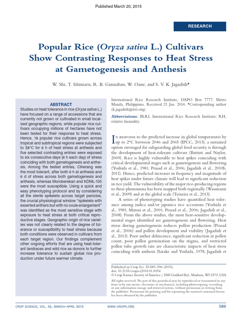 Leticia & Paulo - Popular Rice (Oryza Sativa L.) Cultivars Show ...