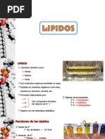 Sintesis Trioleina Completa | PDF
