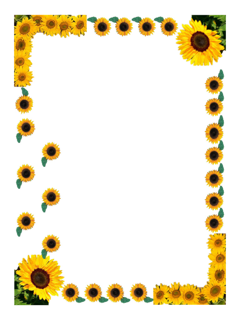 Bordes de Página | PDF