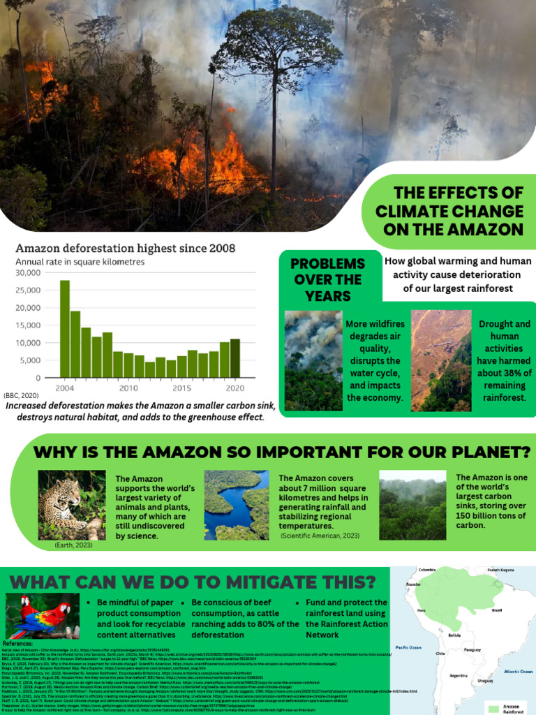 enviro sci poster | PDF | Amazon Rainforest | Deforestation