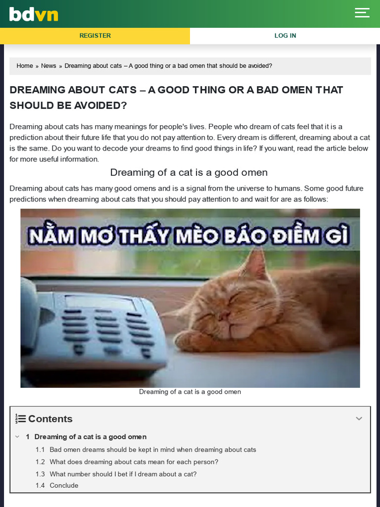 Nam Mo Thay Meo | PDF | Dream | Cats