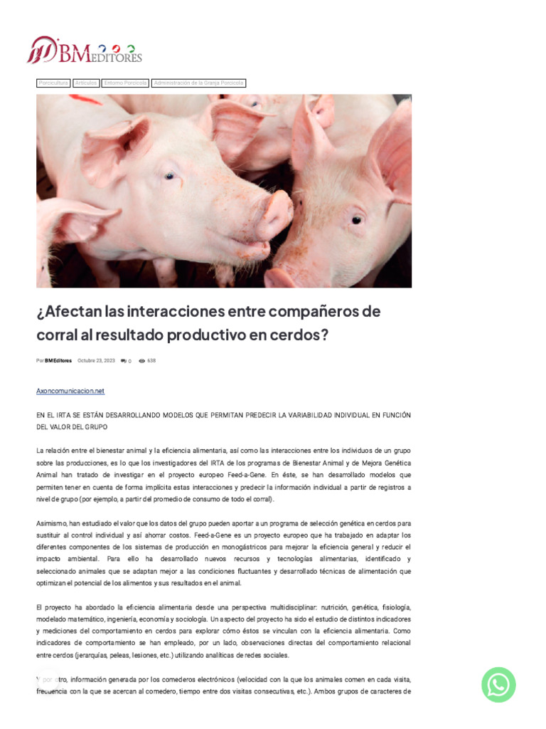 ¿Afectan Las Interacciones Entre Compañeros de Corral Al Resultado Productivo en Cerdos_ - BM ...