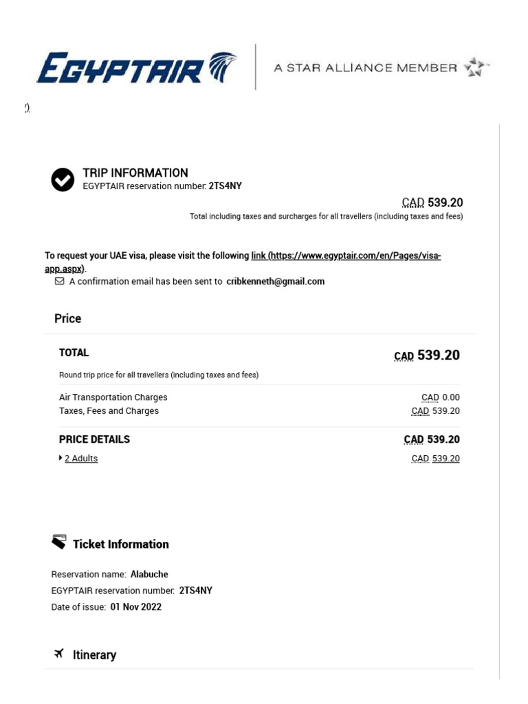 EGYPTAIR - Confirmation Ticket | PDF | Baggage | Airlines