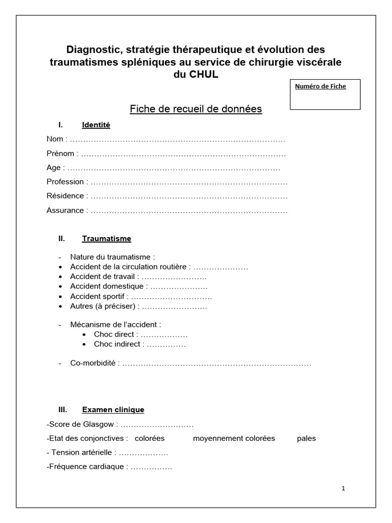 Fiche de Recueil 2024 | PDF