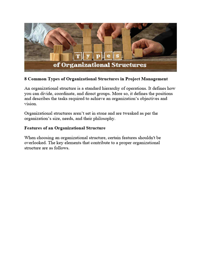 Types of Organisation Structures | Download Free PDF | Organizational ...