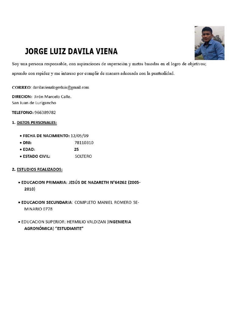 CV Jorge Davila Viena | PDF