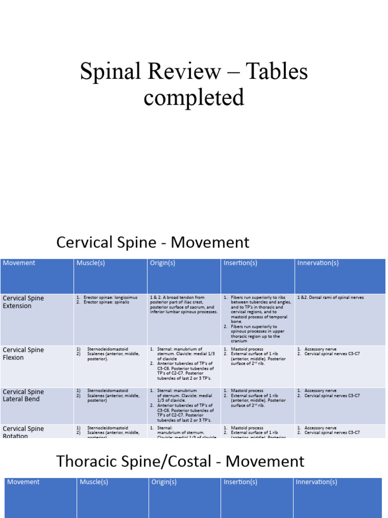 Spinal Muscle Movement Guide | PDF | Vertebra | Vertebral Column