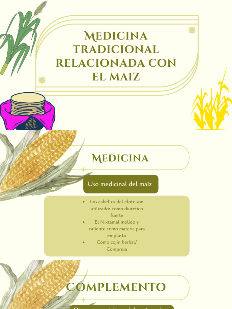 Medicina de Maiz | PDF