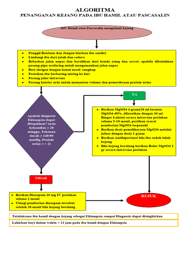 Algoritma Penanganan Ibu Hamil Andri | PDF