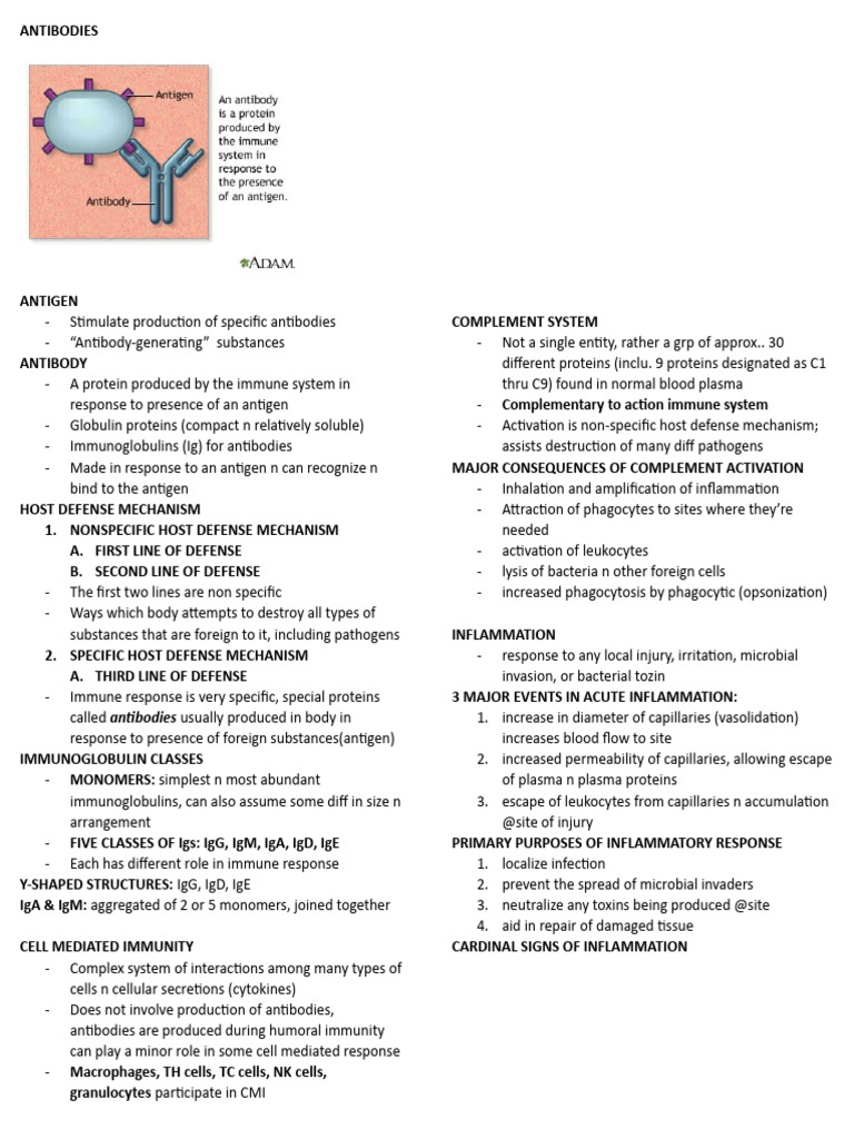 ANTIBODIES | PDF | Antibody | Immune System