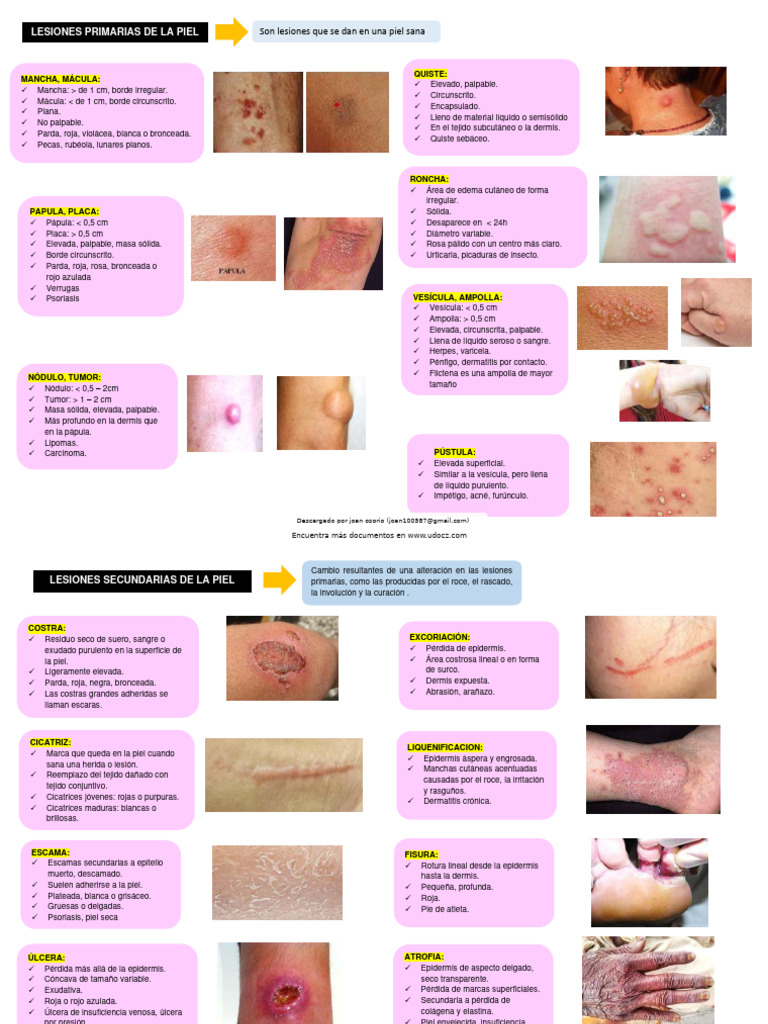Lesiones de Piel 330783 Downloable 2060122 | PDF | Piel | Epidermis