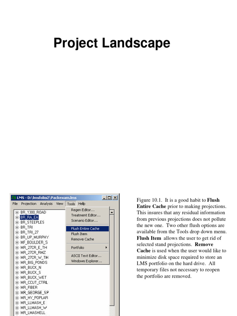 10-ProjectLandscape | PDF | Information Technology Management | Computing