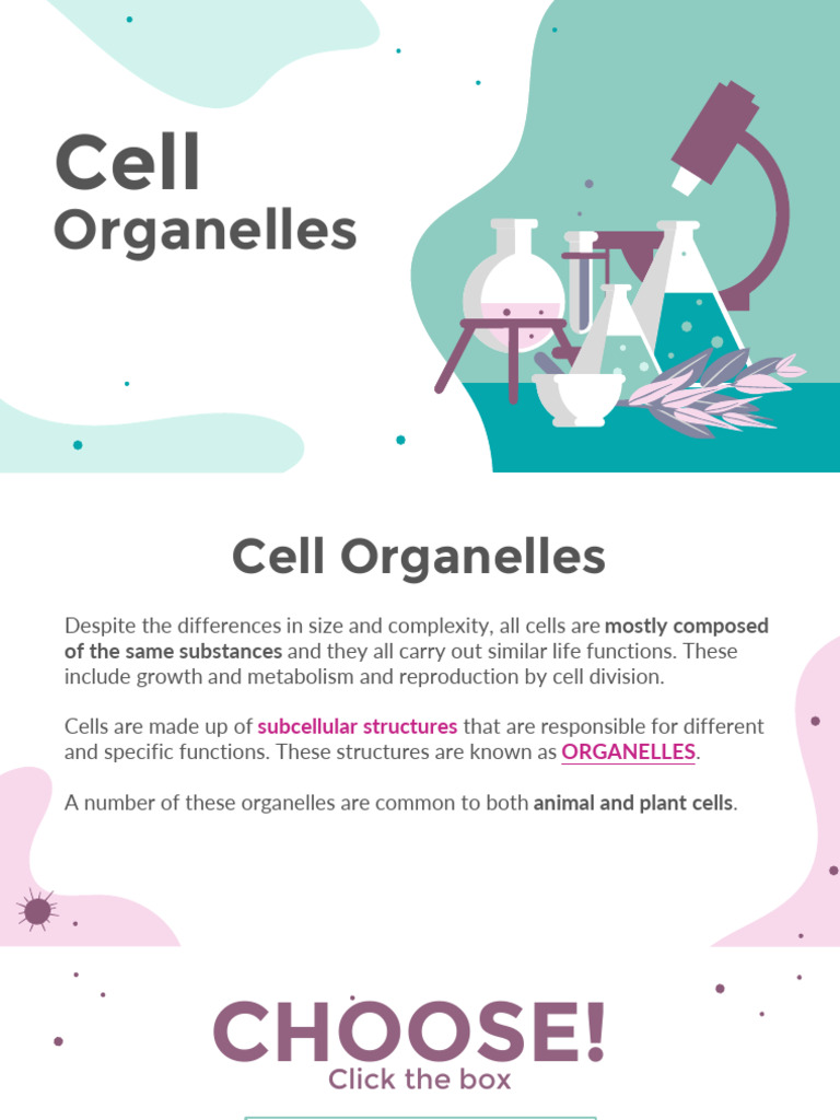 Lesson 2 - Organelles | PDF | Cell (Biology) | Endoplasmic Reticulum