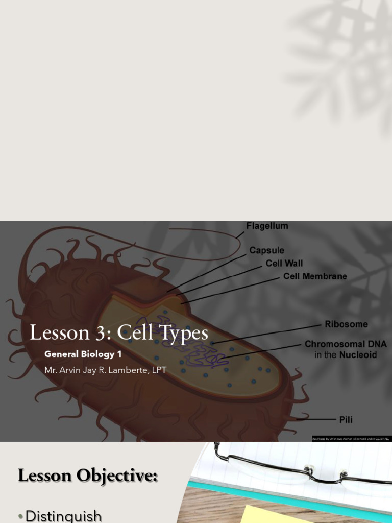 Lesson 3 - Cell Types | PDF | Cell (Biology) | Prokaryote