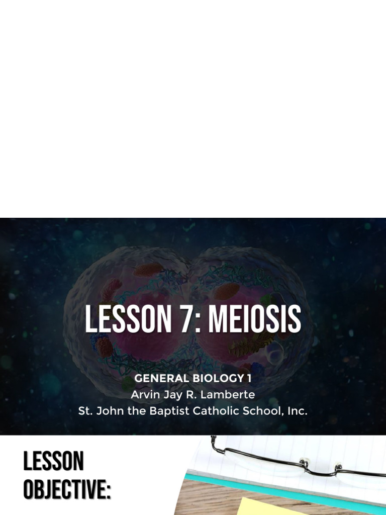 Lesson 7 - Meiosis | PDF | Meiosis | Chromosome