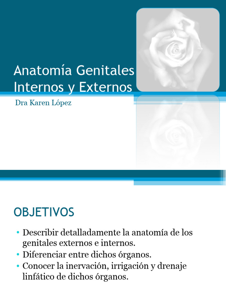 Anatomía Genitales Internos y Externos TOTAL | PDF | Labios | Vagina