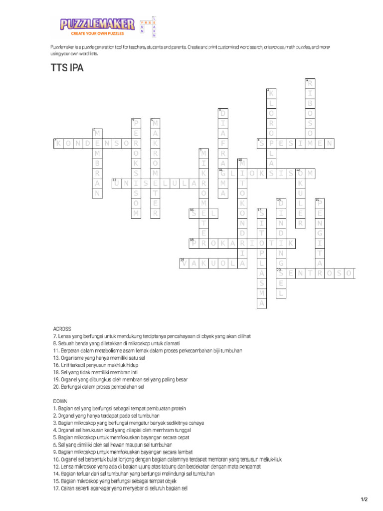 Tts Ipaa KK | PDF