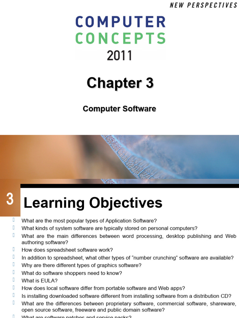 Chapter03 Topic3 | PDF | Spreadsheet | Application Software