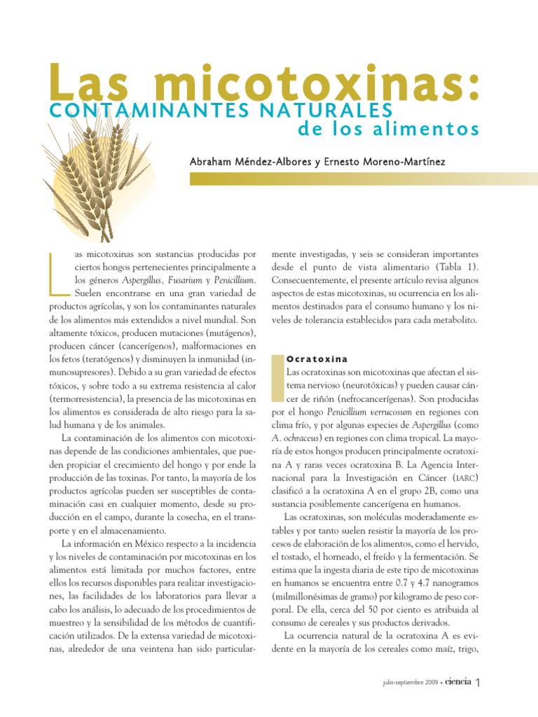 Mico Toxin As | PDF | Micotoxinas | Alimentos
