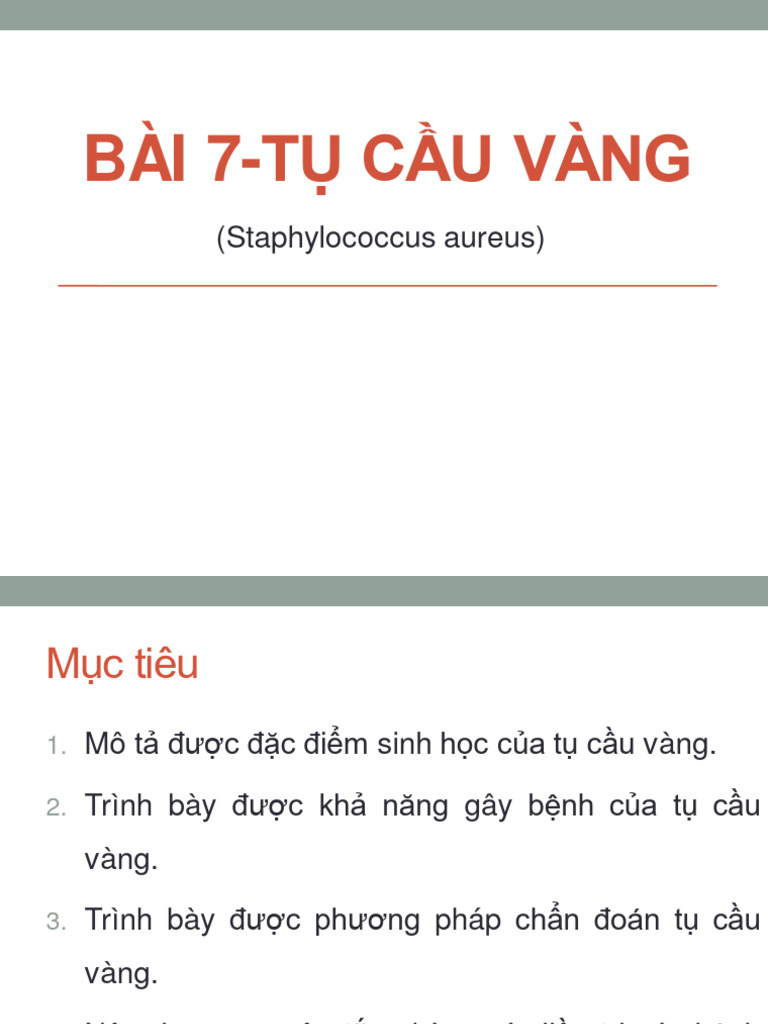 Bài 7-10. Tụ Cầu Vàng- Liên Cầu - Phế Cầu - Lậu Cầu | PDF
