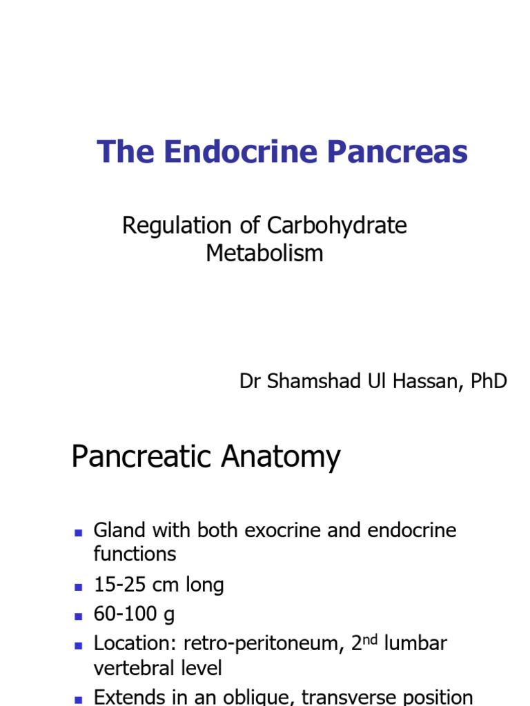 Pancreas | PDF