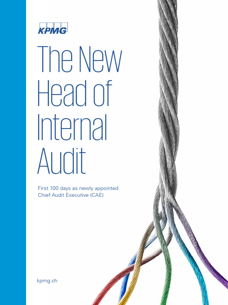 The New Head of Internal Audit: First 100 Days As Newly Appointed Chief Audit Executive (CAE ...
