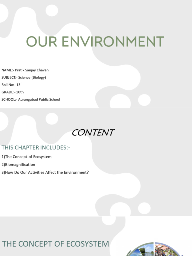 Our Environment Chapter's | PDF | Ecosystem | Food Web