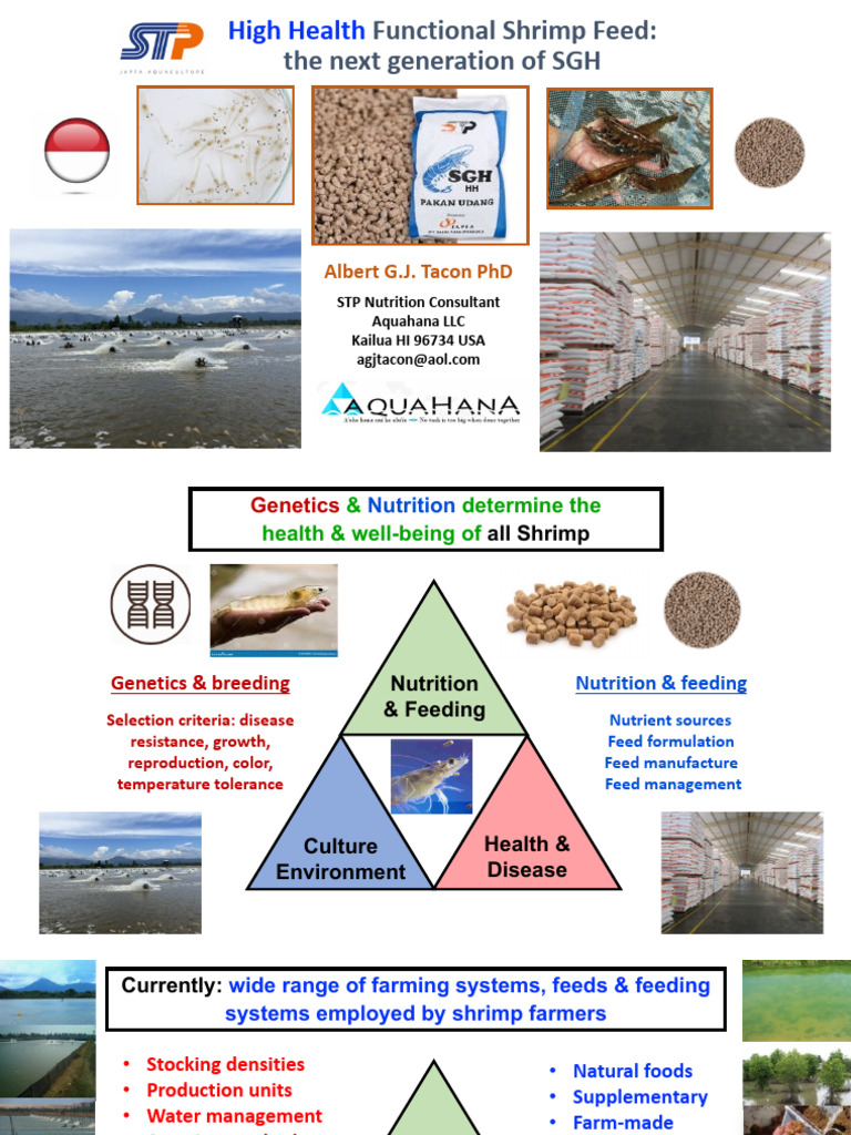 New High Health PresentationFinal | Download Free PDF | Nutrients ...