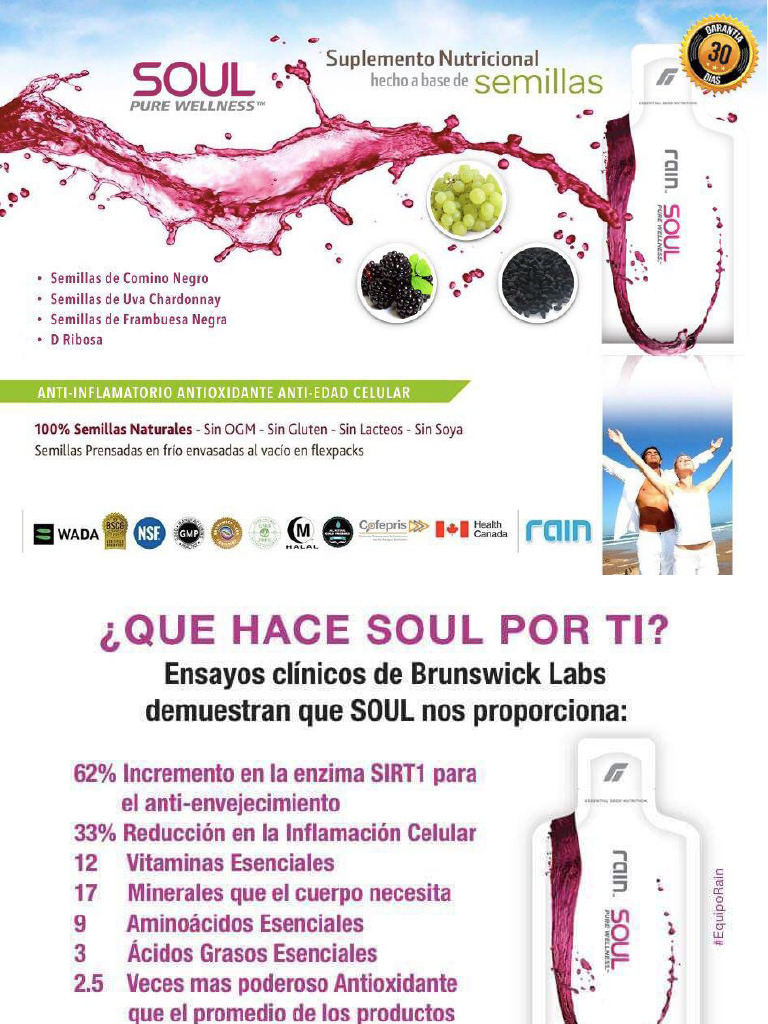 Soul | PDF