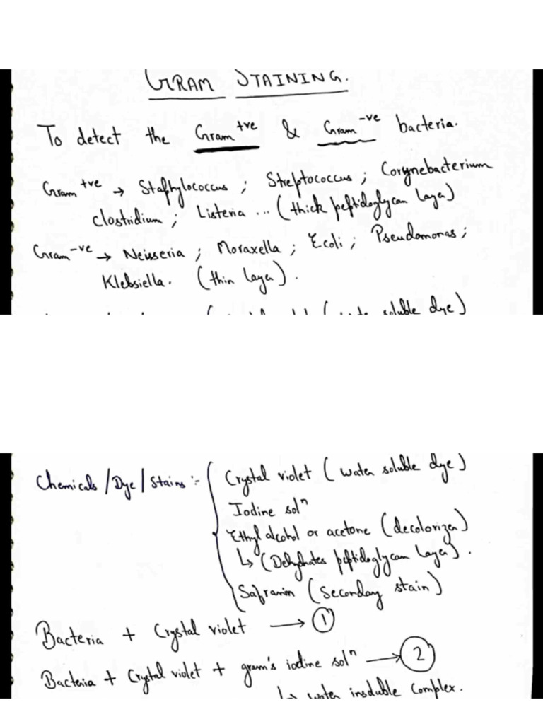 Gram Staining Pdf
