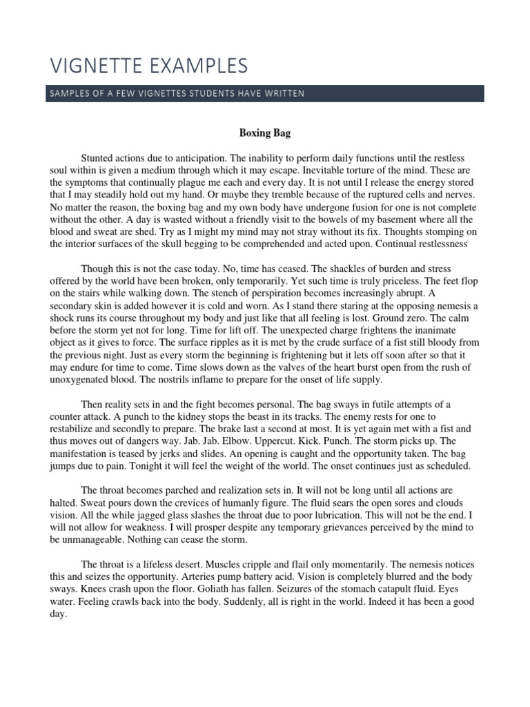 Vignette Examples | PDF