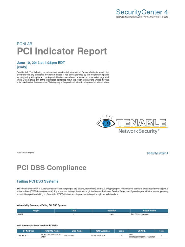 pci_indicator_sample_report | PDF