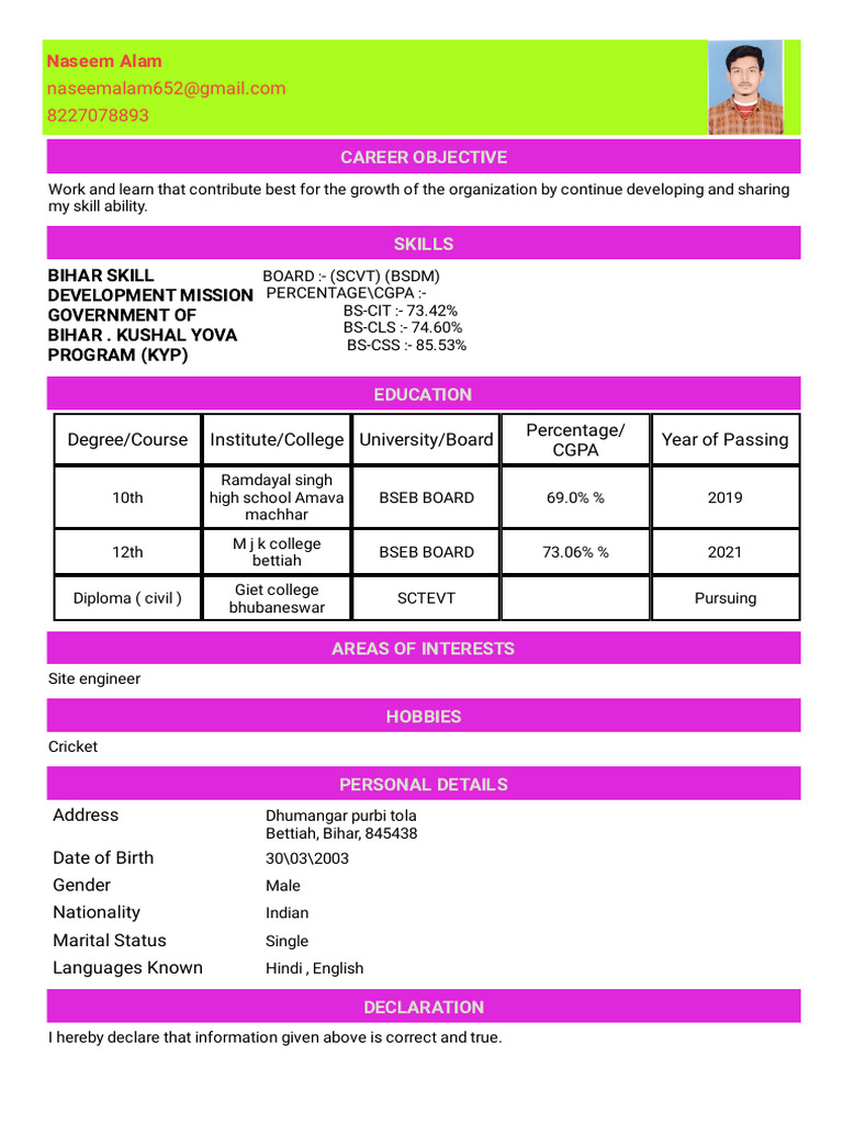 Naseem Alam Resume 3 | PDF