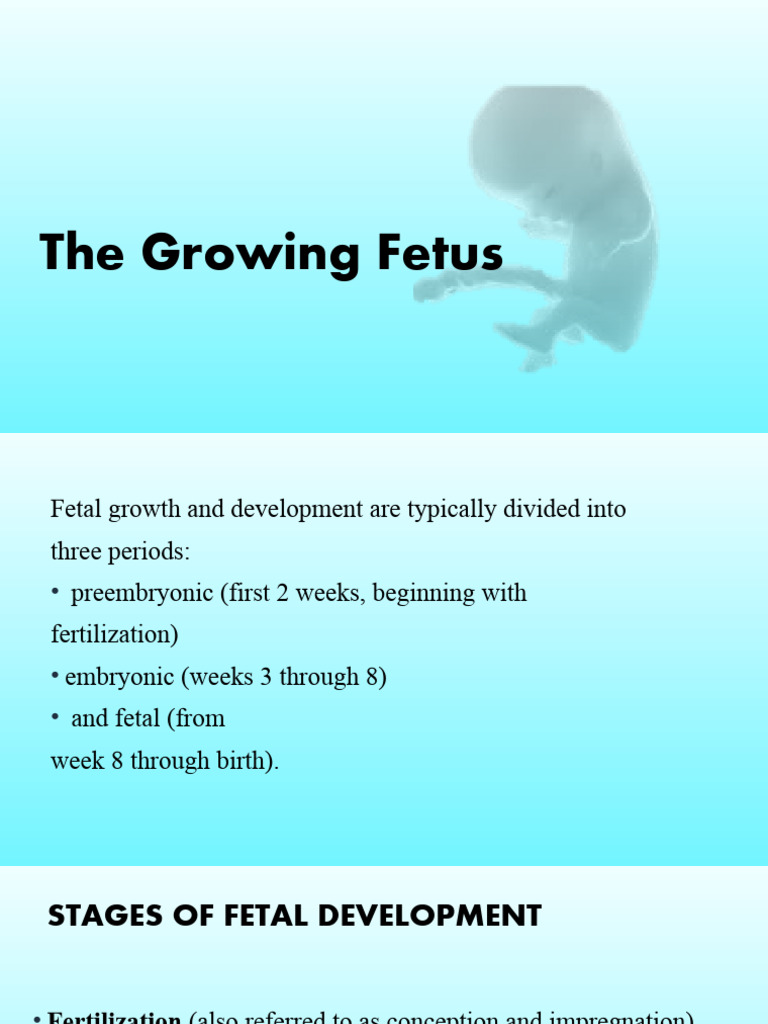 The-Growing-Fetus | PDF | Uterus | Placenta