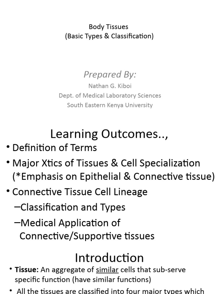 Lecture 3 - Body Tissues (Basic Types & Classification) | PDF | Epithelium | Extracellular Matrix