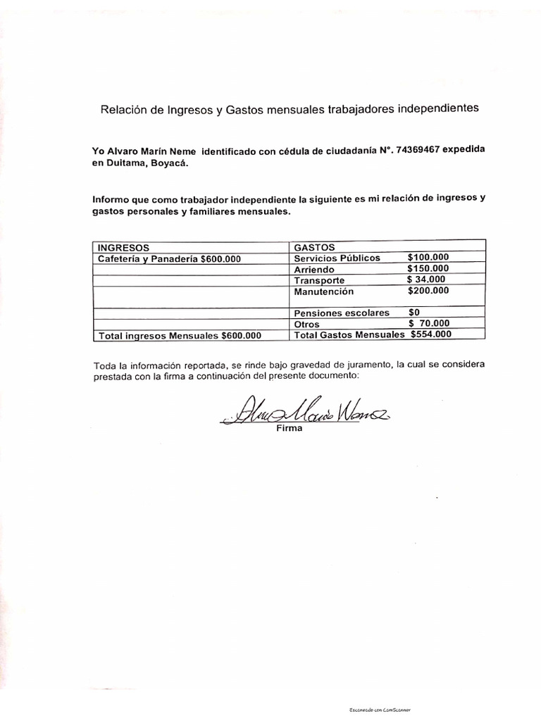 Relación de Ingresos y Gastos Mensuales | PDF