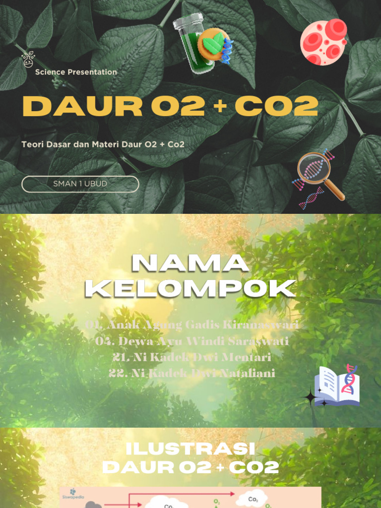 Pro O2 and Co2 | PDF | Social Science | Wellness