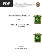Enlisted Personnel: Afp Physical Fitness Test | PDF | International ...