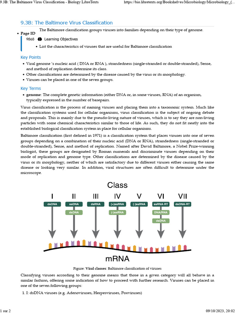 9.3B The Baltimore Virus Classification - Biology LibreTexts | PDF ...