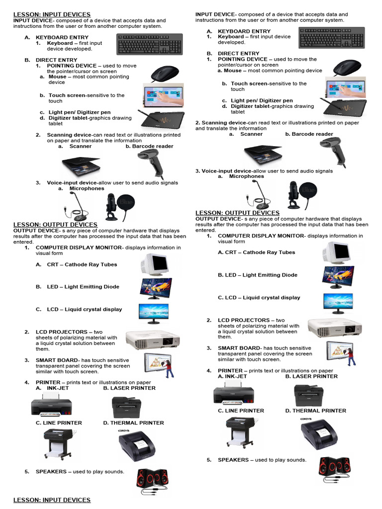 Overview of Input and Output Devices | PDF | Computer Monitor | Input ...