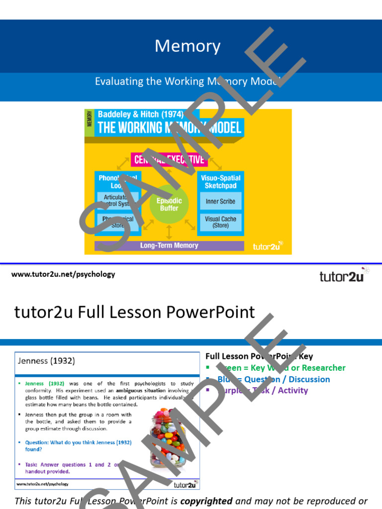 Evaluating The Working Memory Model Sample | PDF | Behavioural Sciences ...