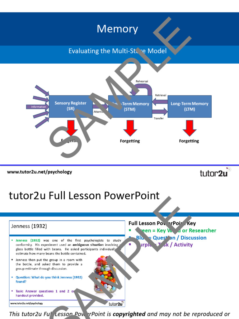 Evaluating The Multi Store Model Sample | PDF | Memory | Cognitive ...