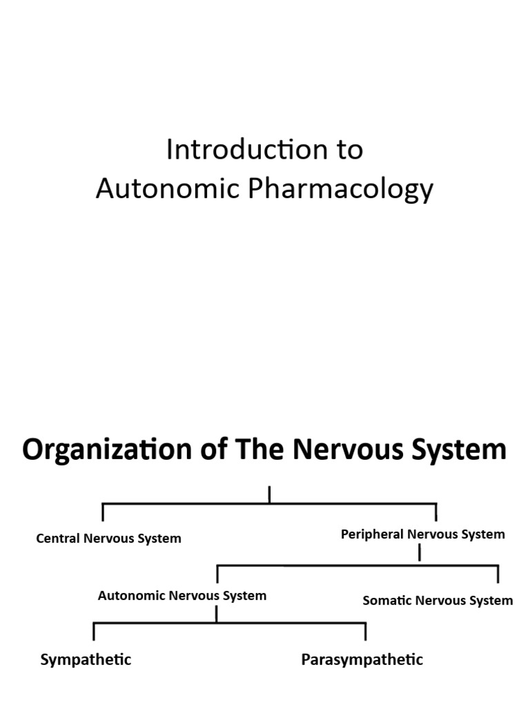 Autonomic Nervous System | PDF | Acetylcholine | Autonomic Nervous System