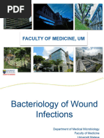 Surgical Wound Classification Guide | PDF